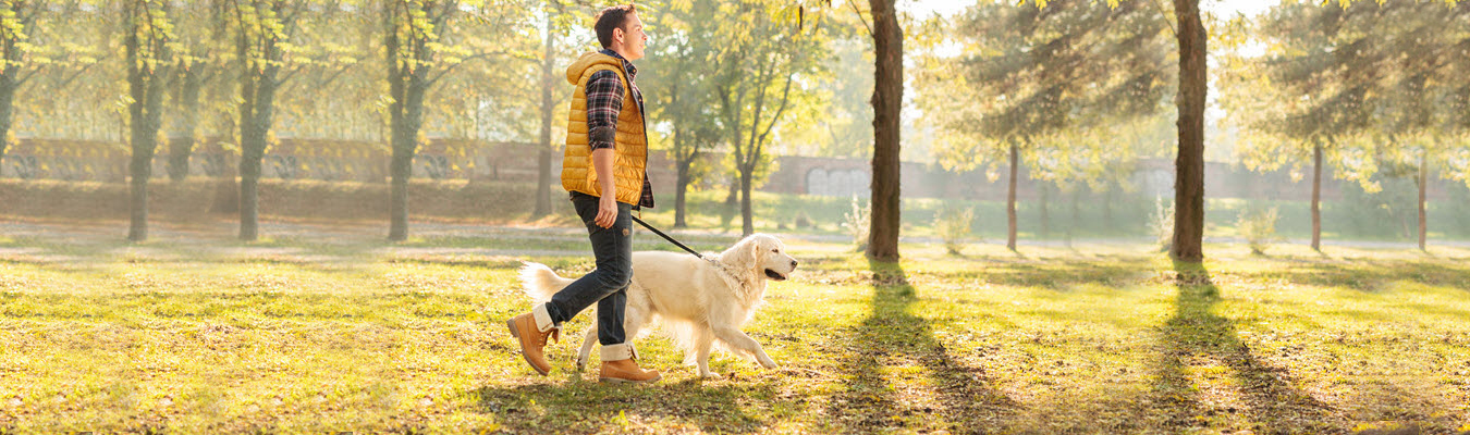 Walk & Talk - Real Men's Work
